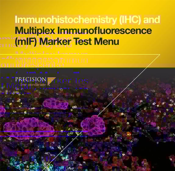 Optimizing Immunohistochemistry Validation and Regulatory Strategies